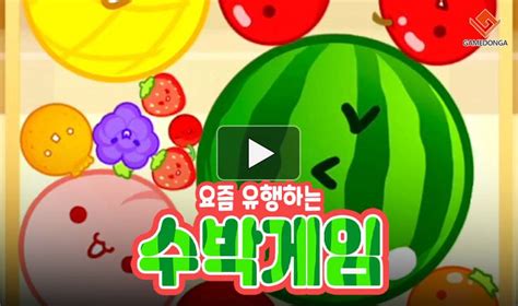 [동영상] 요즘 유행하는 수박 게임