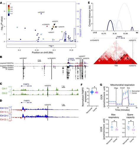 jci noncoding snps decrease expression of fabp5 during copd exacerbations