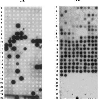 A Routine Application Of The Simultaneous Detection Procedure Of Five Download Scientific