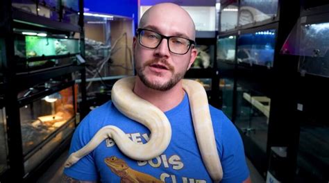 Top 17 Non Venomous Snakes In The World Meet The Friendly Serpents