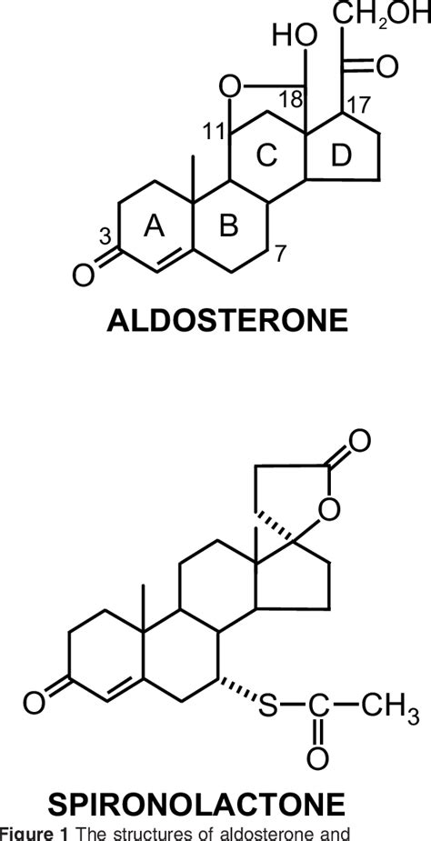 Figure 1 From Determinants Of Spironolactone Binding Specificity In The