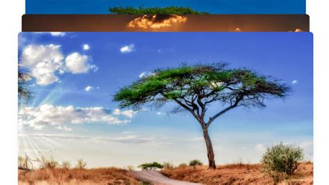 Pinning Images With Gsap A Smooth Scrolling Animation In Nextjs