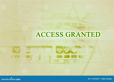 `access Granted` At Computer System Screen Stock Illustration Illustration Of Information