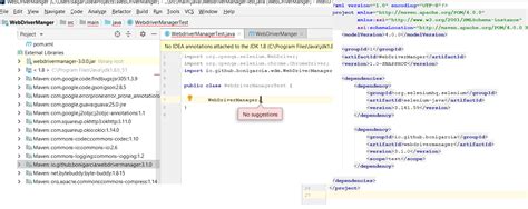 POM Dependency Included But Unable To Use Access In IntelliJ IDEA Issue Bonigarcia