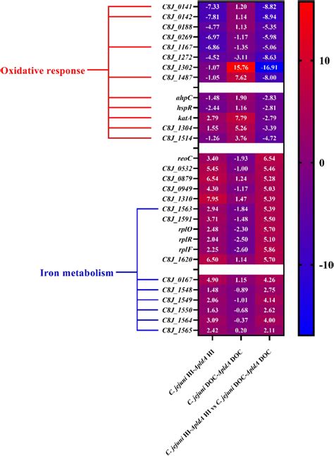 Transcription Of Genes Dependent On The Availability Of Doc And A