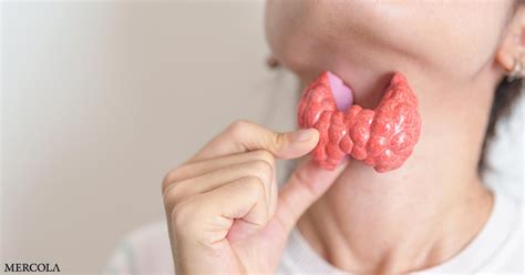 Key Nutrients To Support Optimal Thyroid Health