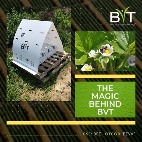 Bvt Bee Vectoring Technologies On Linkedin How Do We Enhance Plant