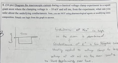 Solved 8 10 Pts Diagram The Macroscopic Current During A