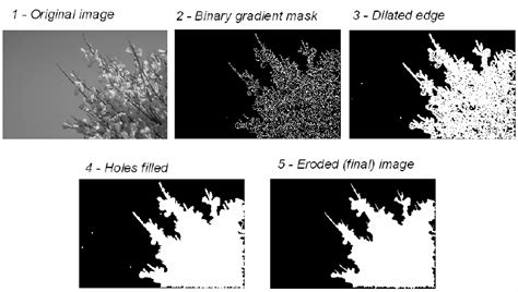 stages of the image segmentation process used to separate slow varying download scientific