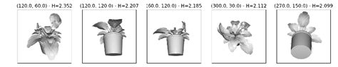 Five Best Views Sorted By Predicted Entropy Of Unseen Object Classes