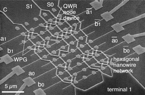 Circuit Diagram Of Hexagonal Bdd Subsystems A Adder B Substractor