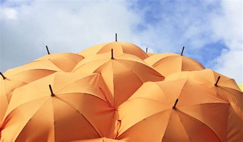 FedRAMP Your Ally In Navigating Government Cloud Security Community GovLoop