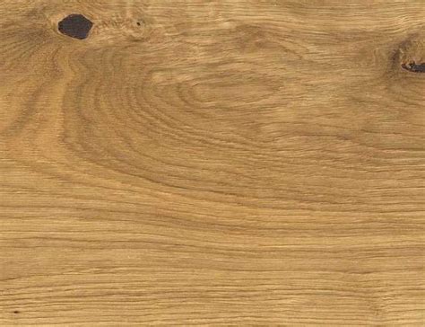 Parq Chene Sauvage 4v