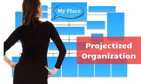 Is Projectized The Best Project Organization Structure Pm By Pm