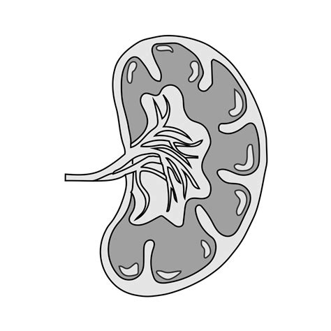 Celltypist Automated Cell Type Annotation For Scrna Seq Datasets