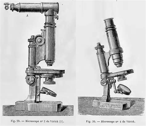 Labeled Dissecting Microscope At Danica Jones Blog
