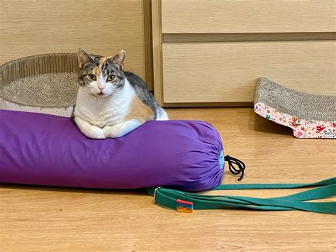 Katarzyna Kotula Kotula Katarzyna • Threads Say More