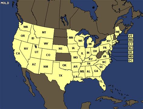 Weather Allergy Report