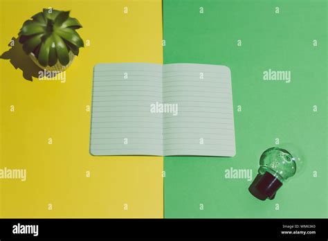 Open Notebook With Blank Green Pages On Contrasting Yellow And Green Background With Succulent