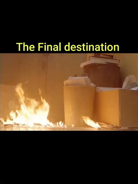 viralvideo shorts shortsfeed youtube