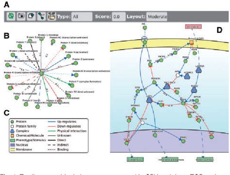 Figure 1 From Spv A Javascript Signaling Pathway Visualizer Semantic Scholar