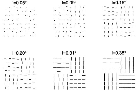 Line Length Experiment Simplified Stimulus Patterns The Relative Size Download High