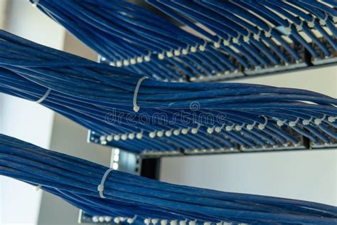 A Large Group Of Utp Cables Rack Ethernet Cables Patch Panel Utp Cables In A Server Rack In A