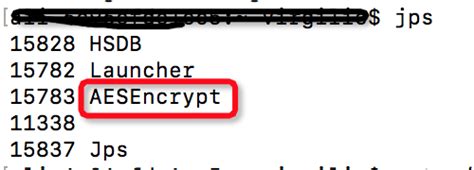 java mac os hsdb hotspot debugger can not attach to the process