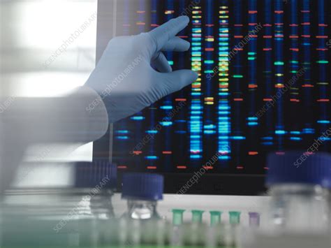 Dna Analysis Stock Image F036 4572 Science Photo Library