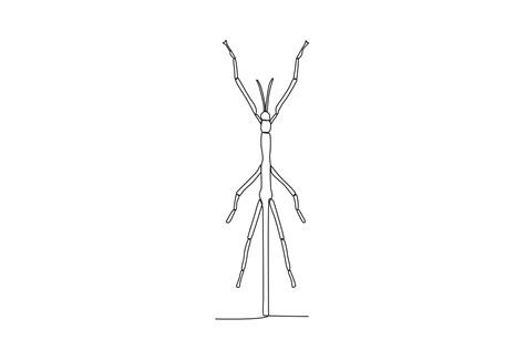 A Single Continuous Line Drawing Of An Stick Bug For The Farm S Logo Identity Single Line
