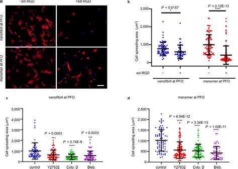 Cell Adhesion And Spreading At Adaptive Liquid Interface Through Download Scientific Diagram