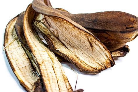 내부에 부패하기 시작하는 어둡고 갈색 바나나 껍질은 여전히 가볍습니다 여러 조각의 볼륨 브러시 클리닝 흰색 배경입니다 갈색에 대한 스톡 사진 및 기타 이미지 Istock