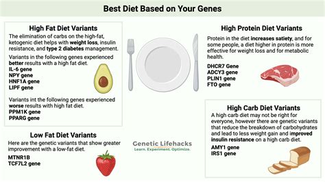 Picking The Right Weight Loss Diet For Your Genes