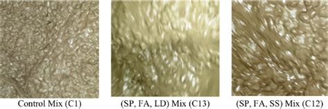 Concrete Paste During Mixing Download Scientific Diagram