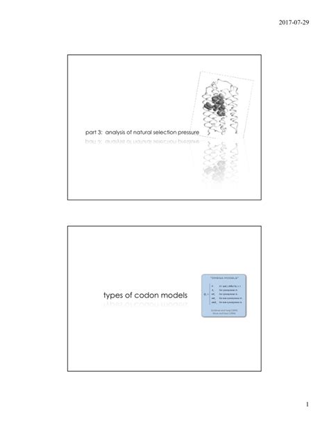 Pdf Types Of Codon Models Q Ij J For Synonymous Ts J For Pdf