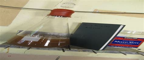 Easy Yeast RNA Isolation Without The Trizol Bitesize Bio