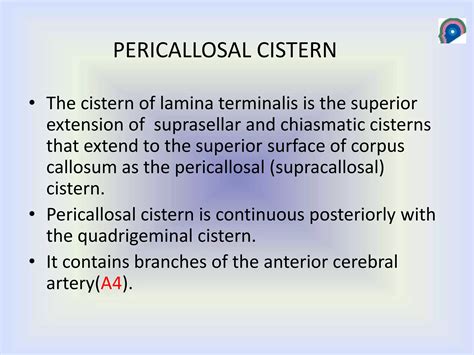 Cisterns Of Brain Pptx Brain And Nervous System Disorders Diseases And Conditions
