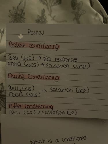 Classical Conditioning Flashcards Quizlet