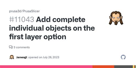 Add Complete Individual Objects On The First Layer Option · Issue