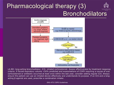 Ers Ats Copd Guidelines