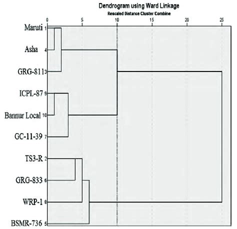 dendrogram using scoring as per the dus morphological characters