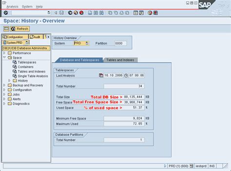 DOCX SAP Daily Activities DOKUMEN TIPS