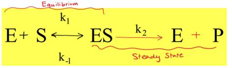 Lecture 18 Enzyme Kinetics II Flashcards Quizlet