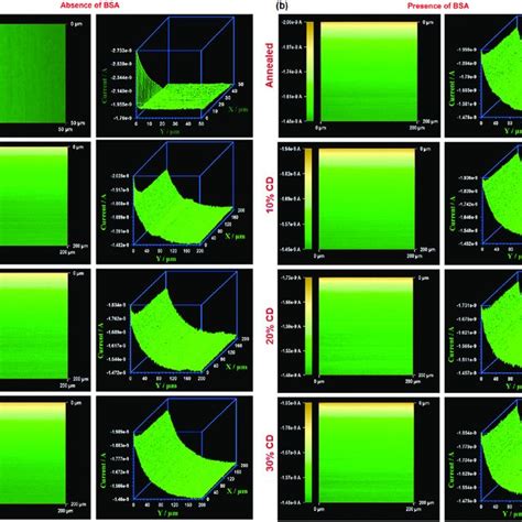 Optical Micrographs Of 316l Showing An Austenitic Microstructure A Download Scientific