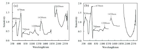 Sensitivity Analysis Of Crop Canopy Spectral Reflectance At Different Download Scientific