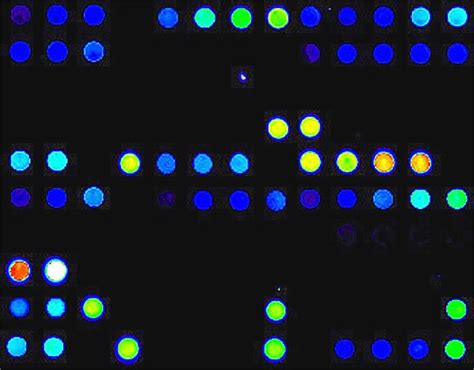 Arrayit Fluorescent And Colorimetric Dna And Protein Microarray Platforms