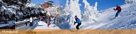 Himanchal Delights Tour Package At Best Price In New Delhi Id 9784612262