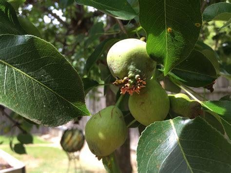 Dirt Doctor Library Topics