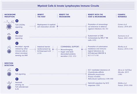 Nonzerosum Microbiome Immune System Interactions Tuganbaev European Journal Of