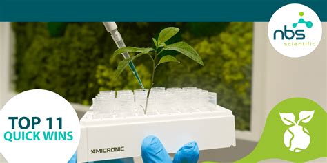 Top 11 Quick Wins For A Sustainable Lab Nbs Scientific Be